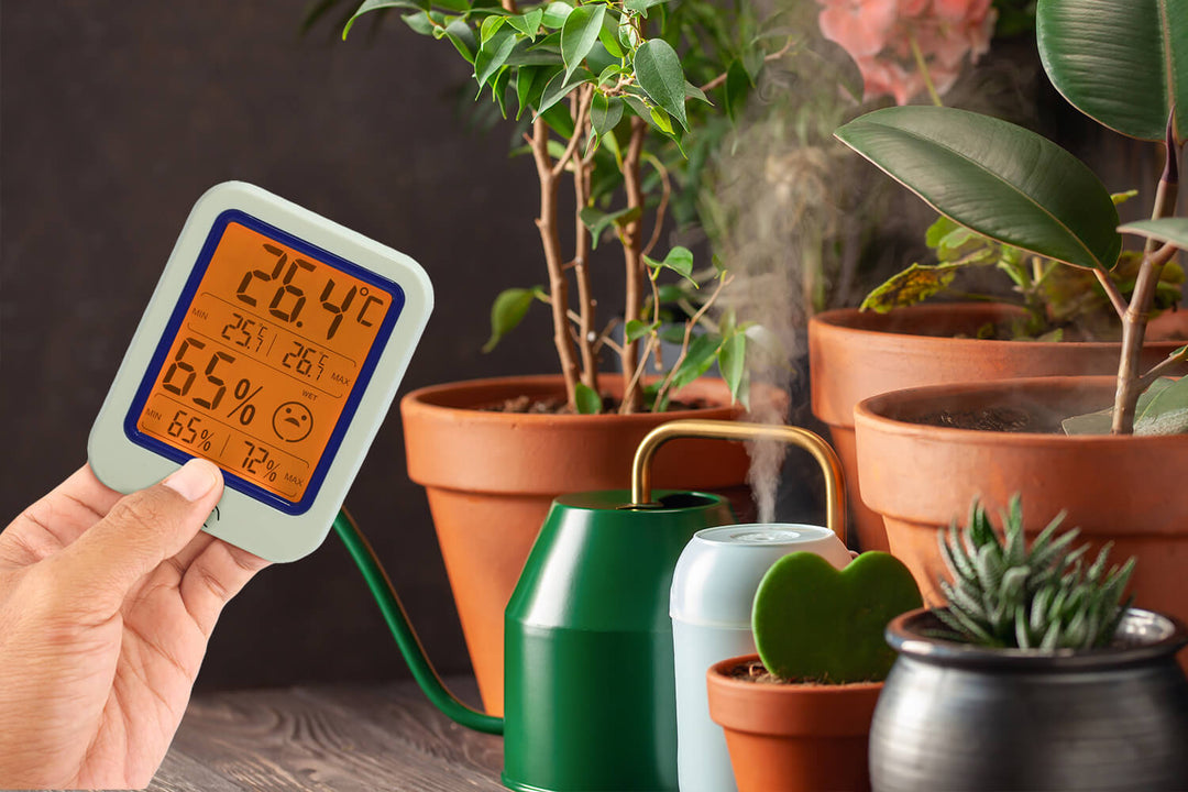 Hygrometer for plants store
